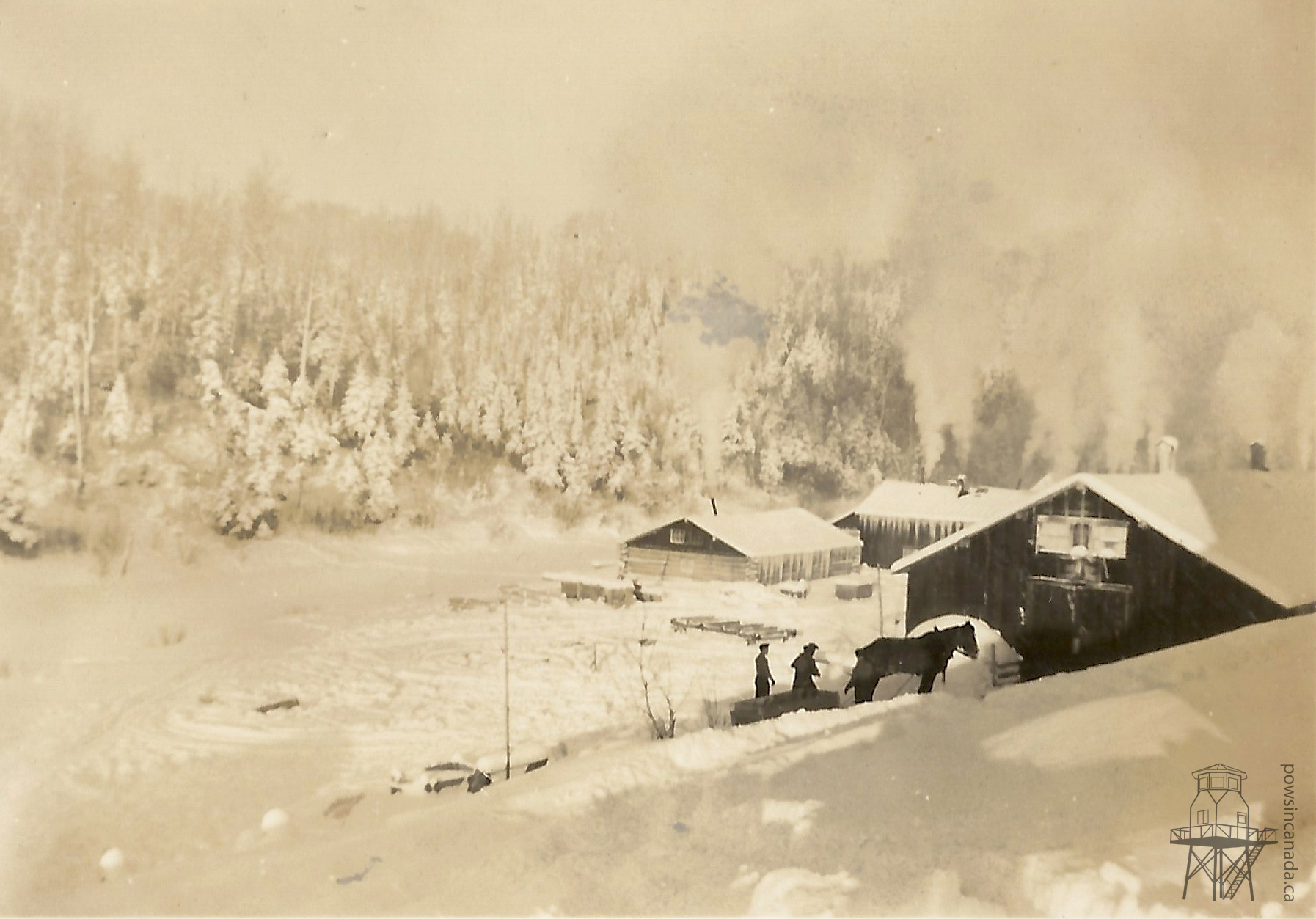 A Needle in a Beetstack: POWs in Southern Manitoba (Revisited) – POWs ...