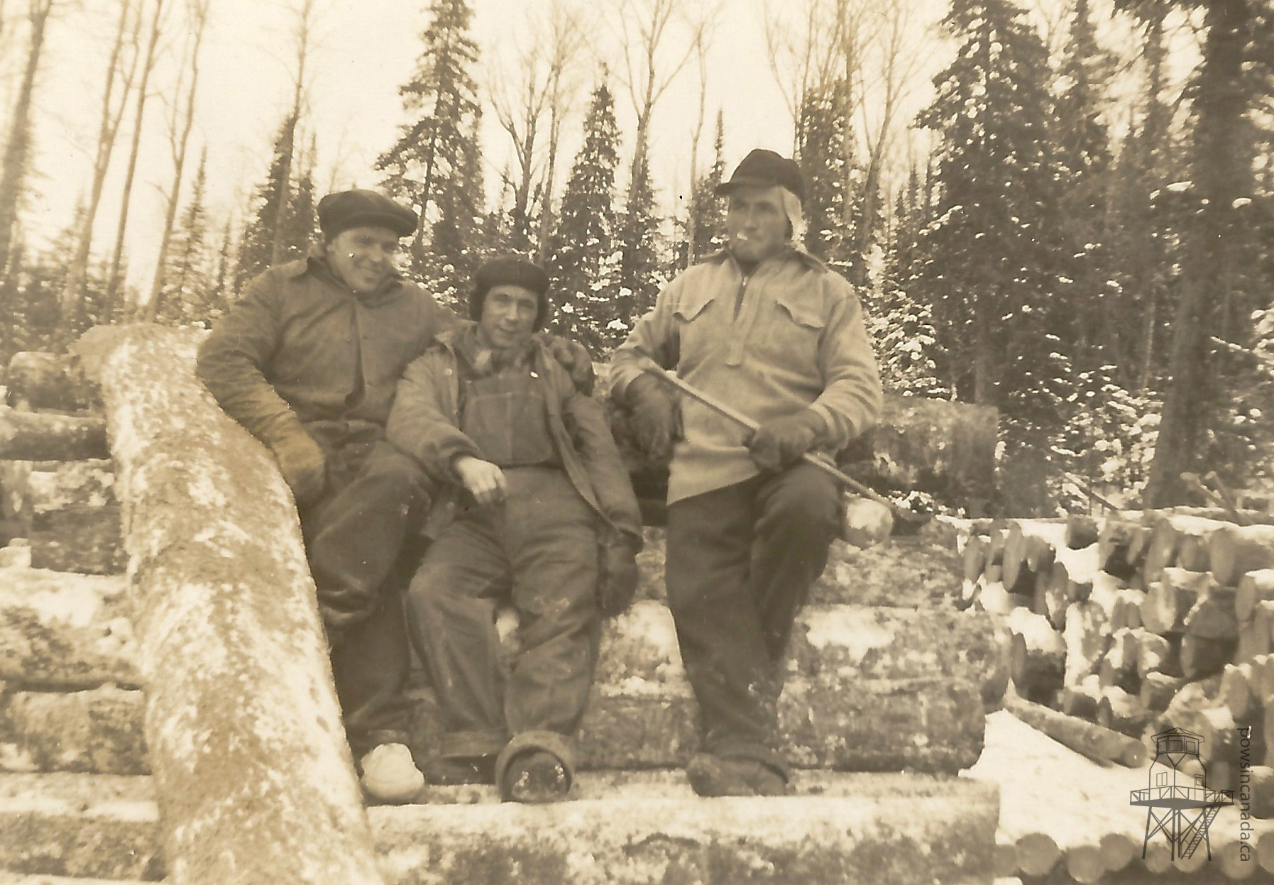 A Needle in a Beetstack: POWs in Southern Manitoba (Revisited) – POWs ...